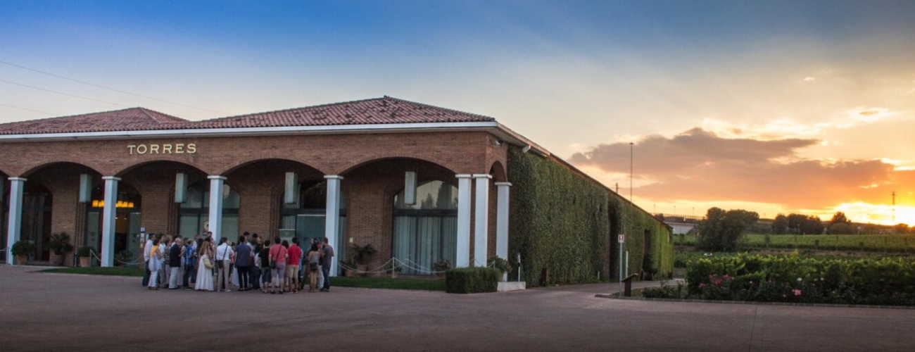 Bodegas Torres, ‘Best Wine Experience’ según la World Food Travel ...