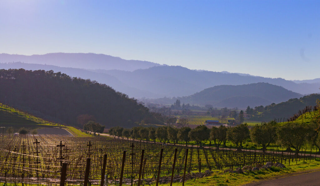 Joseph Carr - CavaAlta - Tienda de vinos